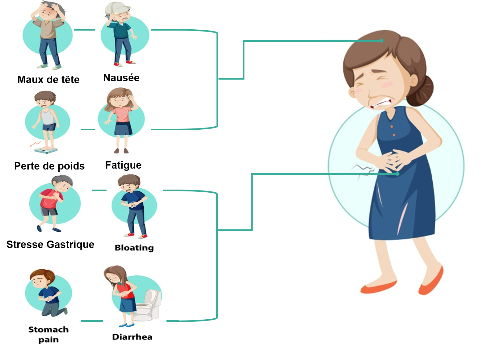 Évolution De La Maladie Coeliaque – XFQS